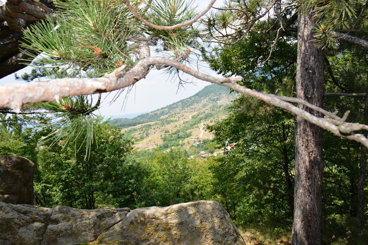 Дестинация Симитли: Екопътека „Пътеката на мечката“ | Simitli.Info